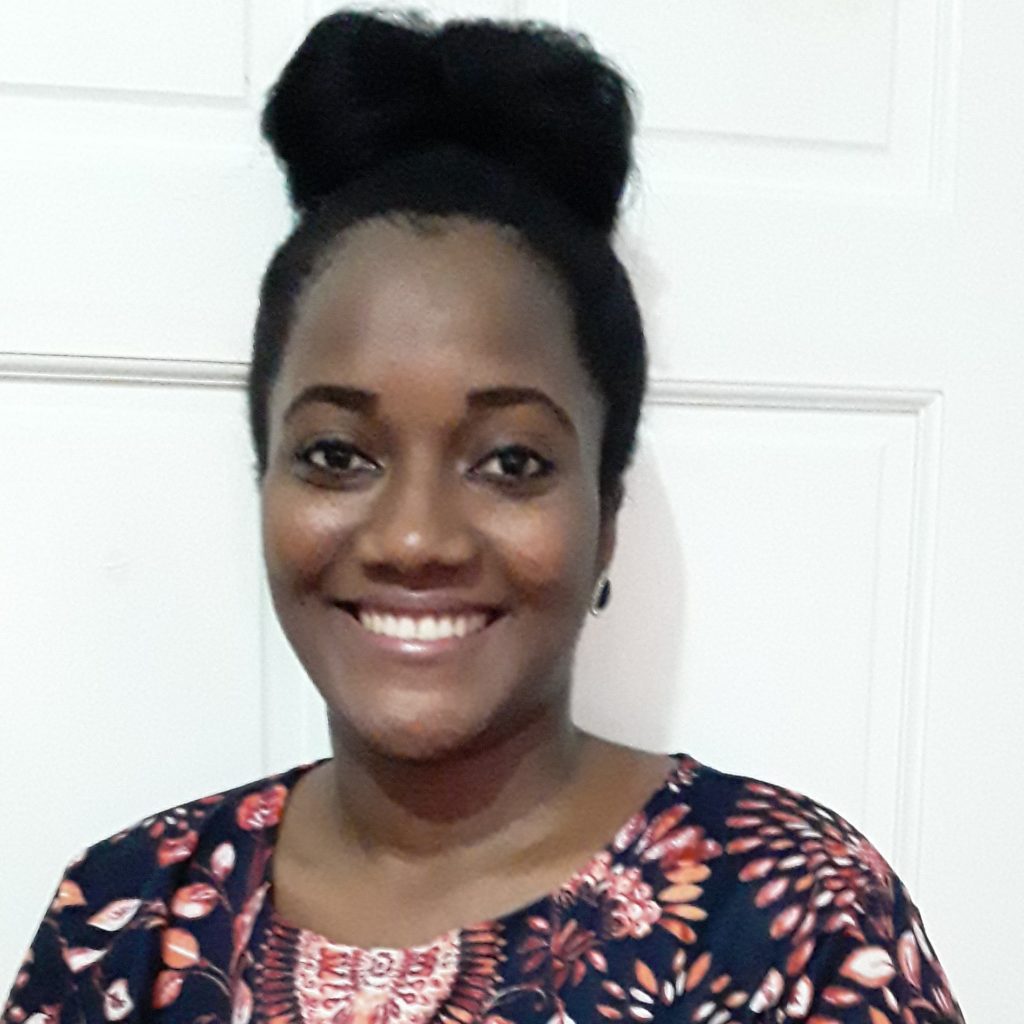 My Internship Experience at the CCREEE and Guidelines for Future ...