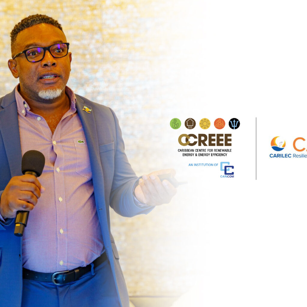 Democratizing the Caribbean Energy Sector through the Utility-centric ...