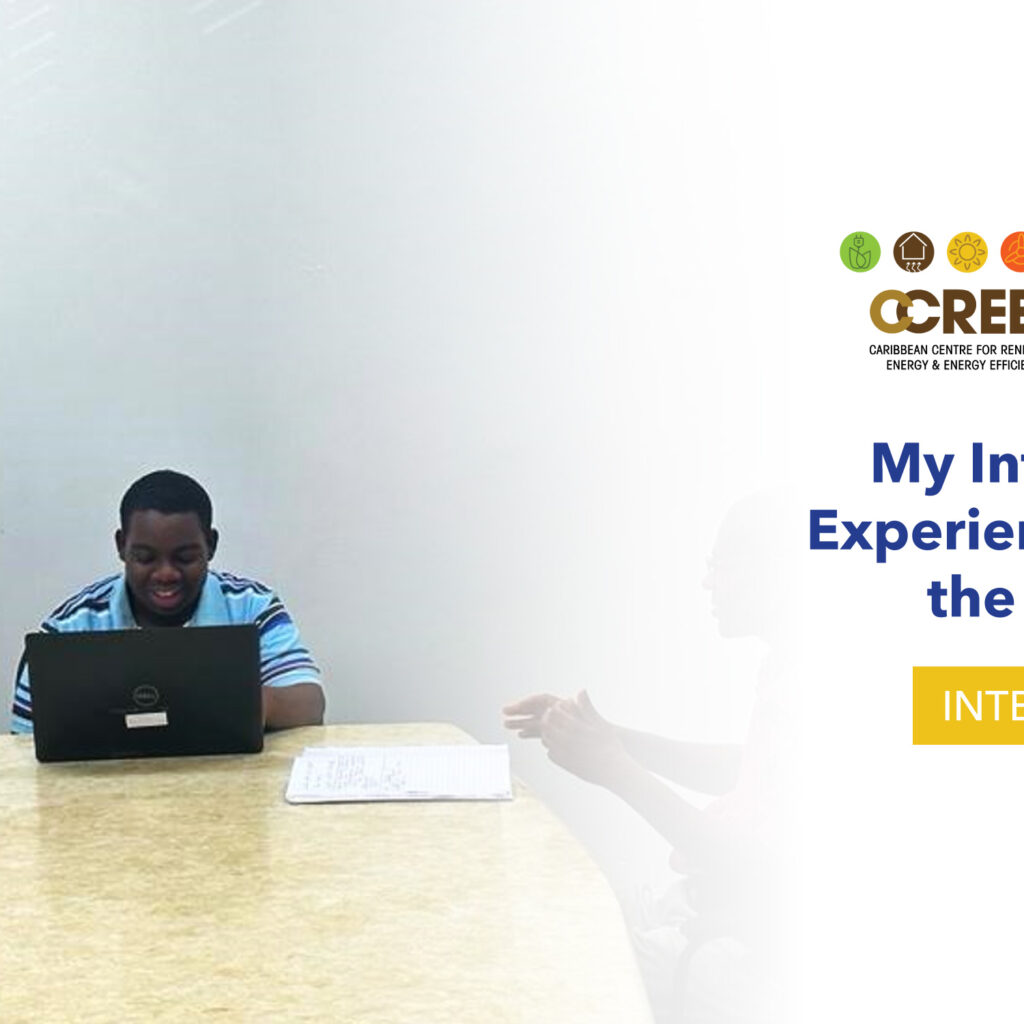 My Internship Experience with the CCREEE - CCREEE