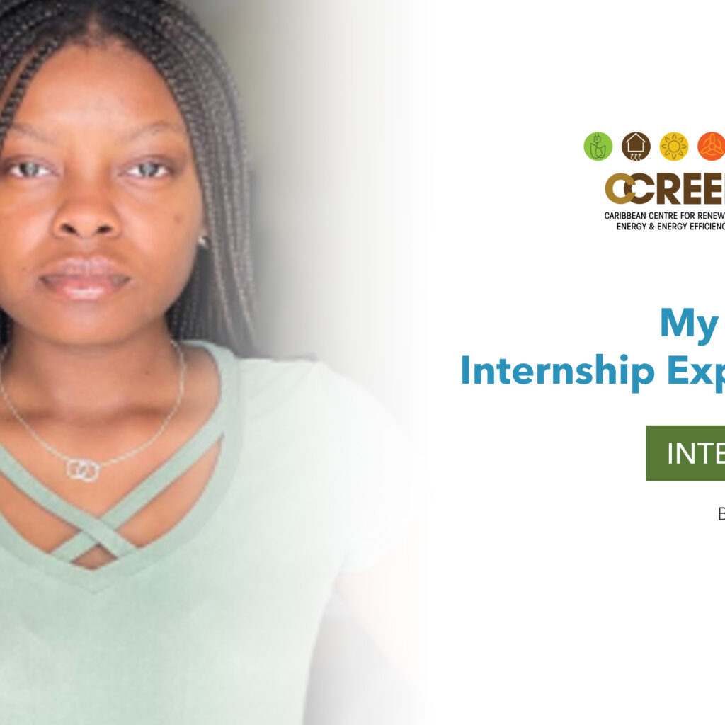 My CCREEE Internship Experience - CCREEE